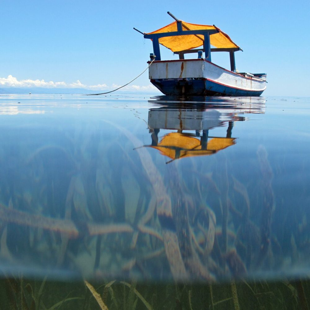 Home - International Decade for Action