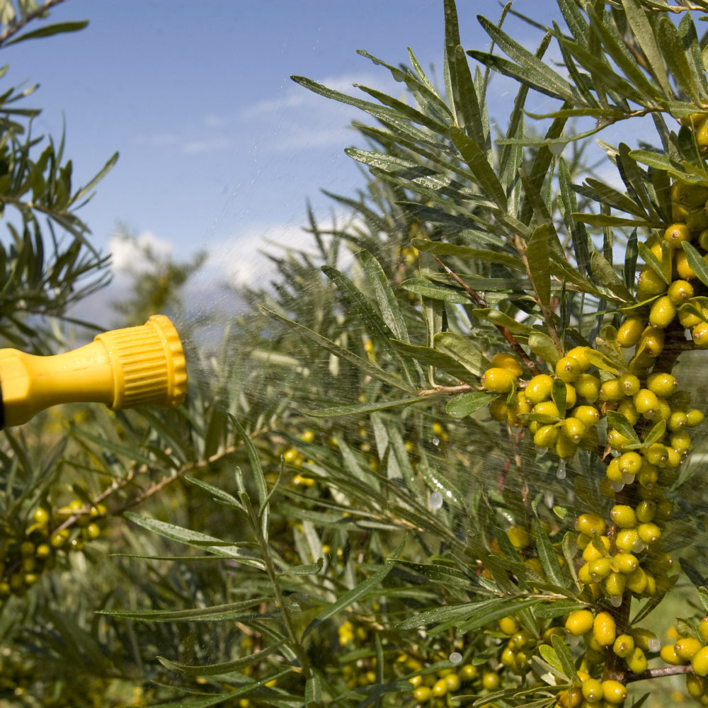 Home - International Decade for Action