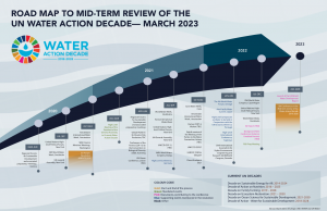 Home - International Decade for Action